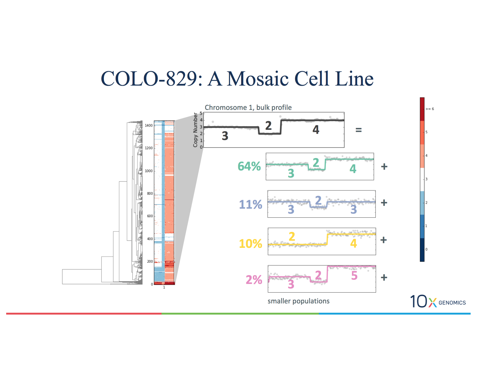 COLO829 mosaicism revealed by scCNV-Seq - Enseqlopedia