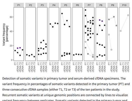 How do SPRI beads work? - Enseqlopedia