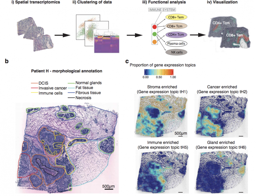 Understanding a 10XGenomics Cell ranger QC report - Enseqlopedia